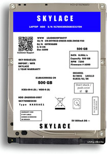 SKYLACE Internal Hard Drive 500 GB Laptop, Desktop Silver SATA Internal ...