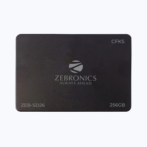 ZEBRONICS NA 256 GB All in One PC's Black SATA Internal Solid State ...