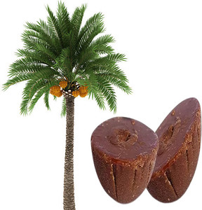 Poloo Premium Khajur Patali Gur (1.5Kg ) | Dates Palm Jaggery| Palm ...