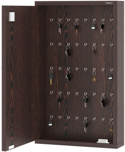 Captiver Key Holder with Locker Upto 40 Keys for Living Room Home ...