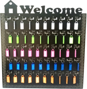 MDSTYLE Key Holder with 50 Key Chains, Wall Mount Metal Large Key ...