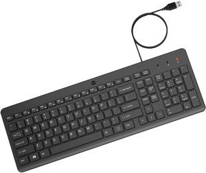 HP 150 Wired USB Standard Desktop Keyboard Compatible with Desktop ...