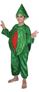 KAKU FANCY DRESSES Fruit Costume Watermelon Dress for Boys & Girls ...