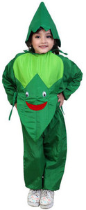 AIS Ladyfinger Costume For Fancy Dress Compitition Kids Costume Wear ...