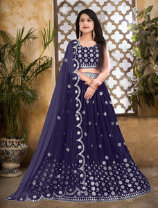 Femisha Creation Girls Lehenga Choli Ethnic Wear, Fusion Wear, Party ...
