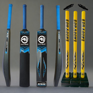 Aenox PLAY SMART KIT WITH PVC BAT AND STUMP FOR JUNIORS Cricket Kit ...