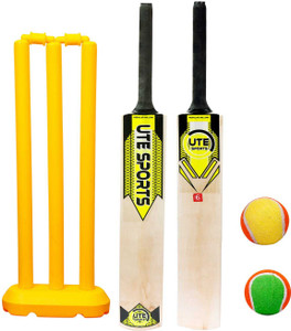 UTE SPORTS Heavy wooden cricket bat with wickets set & 2 tennis ball ...