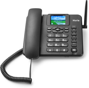 HOLA F100 Sim Landline FWP Cordless Landline Phone Price in India - Buy ...