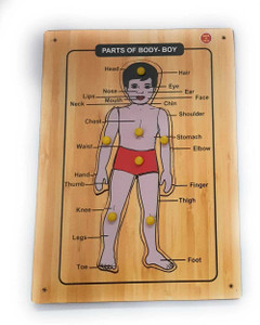 TD Creations Boy Body Part WOODEN PUZZLE Price in India - Buy TD ...