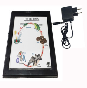 MELODY's Food Chain Low Cost Teaching Aid (LOCTAS) Biology Science ...