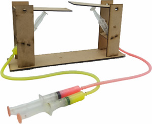 Potlibaba Hydraulic Bridge Educational DIY STEM Kit, Skill Based Fun ...