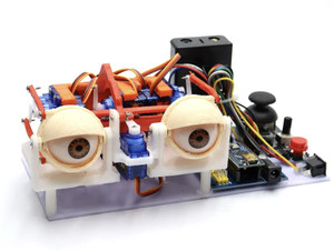 Printed Bots Animatronics Eye Robot Fully Assembled and Working Model ...