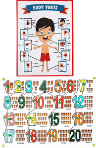 moreyaji Wooden Body Parts and 1to20 Counting Puzzle Learning ...