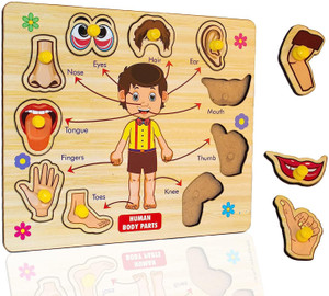 Plus Shine Wooden Human Body Parts Puzzle Board with Knobs, Educational ...