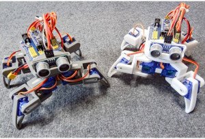 Printed Bots Quadruped Spider / 4-Legged Walking Robot (3D Printed ...