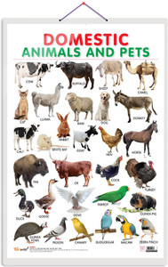 Domestic Animals and Pets Early Learning Educational Chart for Kids ...
