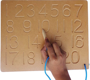 Plus Shine Educational Learning toys 1-20 Counting Learning Practice ...