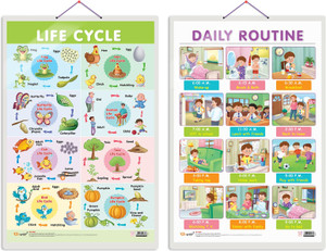 GO WOO Pack of 2 Life Cycle and DAILY ROUTINE Educational charts Price ...