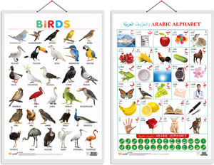 GO WOO Pack of 2 Birds and Arabic Alphabet (Arabic) Educational charts ...