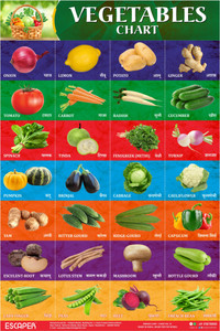 ESCAPER Vegetables Chart for Kids learning Perfect for Kindergarten and ...