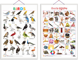 GO WOO Pack of 2 Birds and Telugu Alphabet (Telugu) Educational charts ...