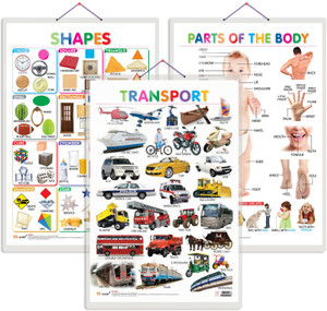 Set of 3 Shapes, Parts of the Body and Transport Chart for Kids | 20 ...