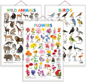 Set of 3 Wild Animals, Birds and Flowers Early Learning Educational ...