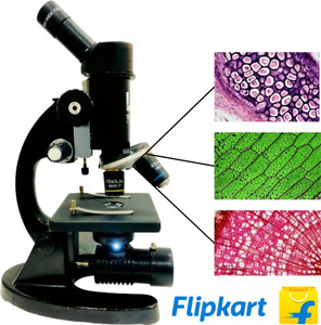 labcare Monocular 1125x Student Compound Microscope Price in India ...