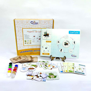 CuroKidz Life Cycle Magnetic Kit Price in India - Buy CuroKidz Life ...