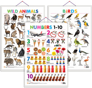 GO WOO Pack of 3 Wild Animals, Birds and Numbers 1-10 charts Price in ...