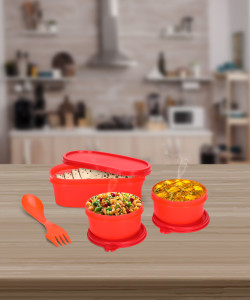Flipkart.com | JAVA Oval Lunch Box 3 Boxes (500ml + 225 ml x2 ...