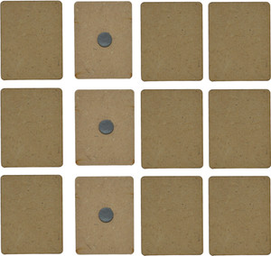 Ecomology Set of 10 (2.5 Inch) Rectangle Shape Plain MDF Shaped Magnets ...