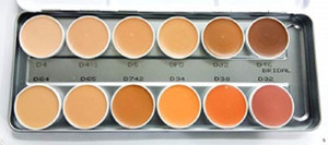 KRYOLAN DERMA COLOR 12 in 1 Camouflage Cream Foundation Palette (Bridal ...