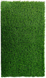 GREENGRASS Artificial Grass, PP (Polypropylene), PVC (Polyvinyl ...