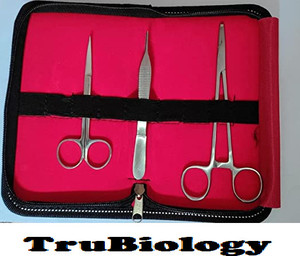 TRU BIOLOGY Suturing Instrument Set of 3 Basic Instrument Medical ...