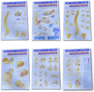 Meditronix Physiotherapy Clinic Chart Set Wall Pasted 6 Different Wall ...