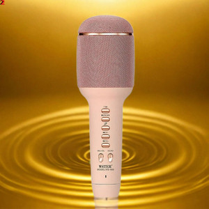 Stybits A284 WS900 Power and Heavy Mic Inbuilt Speaker Rechargeable Mic ...