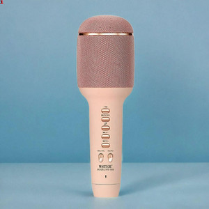 Bydye A204 WS900 Power and Heavy Mic Inbuilt Speaker Rechargeable Mic ...