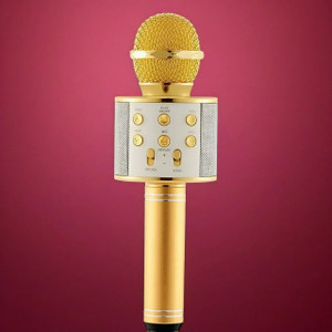 Sagaft X143 Karaoke Microphone Party Microphone - Sagaft : Flipkart.com
