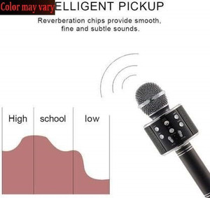 Bygaura J1452 ADVANCE(WS858) HandheldSpeaker&Mic Color may vary (Pack ...