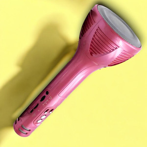 Sagaft X306 Hand Held Wireless Microphone HiFi Speaker with Inbuilt ...