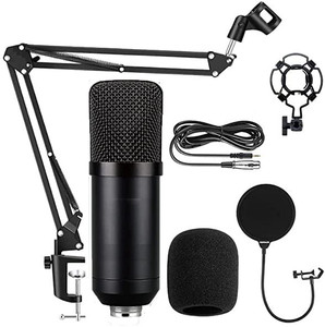 RODZ Professional Condenser Microphone Kit Mic with Boom Arm Microphone ...