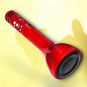 Shamsa X480 Hand Held Wireless Microphone HiFi Speaker with Inbuilt ...