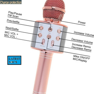 Bygaura A717_WS858 PLUS MICROPHONE Recording MIC COLOR MAY VARY (PACK ...
