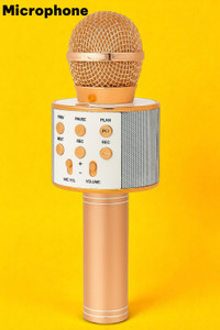 Sagaft X38 All-in-One Mic with Volume, Echo & Remix Controls Microphone ...
