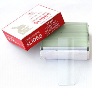 labcare LB-BSM50 Microscope Slide Box Price in India - Buy labcare LB ...