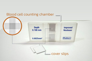 Brightline Neubauer Counting Chamber Microscope Slide Box Price in ...