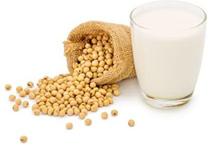 Veganic Soy/ Soya | Pure Vegan - Milk Alternative Milk Powder Price in ...
