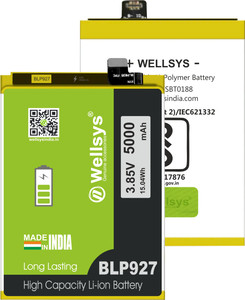 WELLSYS Mobile Battery For OnePlus Nord CE 2 Lite 5G CPH2381 (BLP927 ...