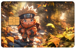 Casebox Card Skin (Large Chip), (Pack Of 2) Mobile Skin Price in India ...